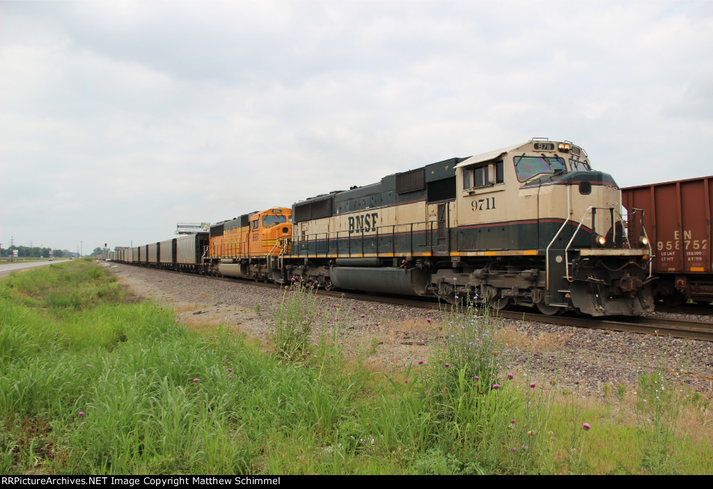 Cream and Green Leader